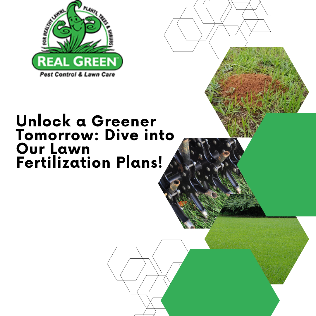 Lawn Fertilization Plans - Unlock a Greener Tomorrow | Real Green