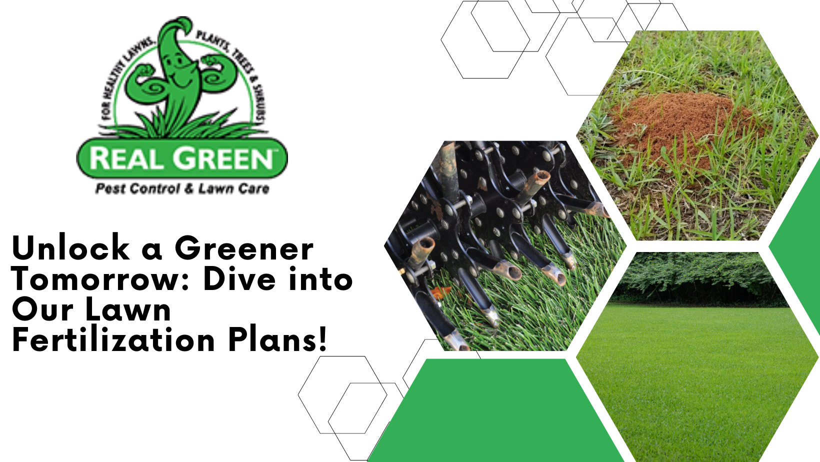 Lawn Fertilization Plans - Unlock a Greener Tomorrow - Real Green Services