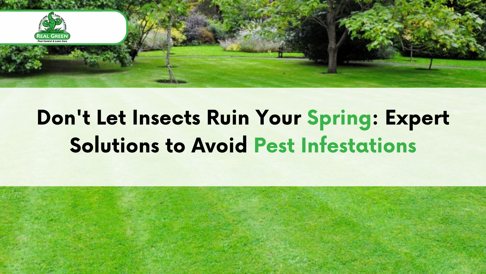 Expert Pest Control Solutions: Protect Your Lawn this Spring | Real Green